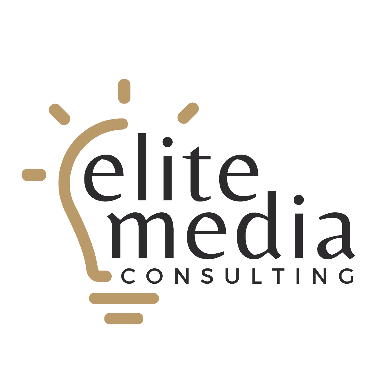 Virtual Social Media Manager & Online Strategist -EliteMedia